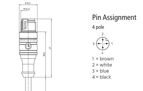 M12 - 4 Pole Male Straight – Allied Connectors